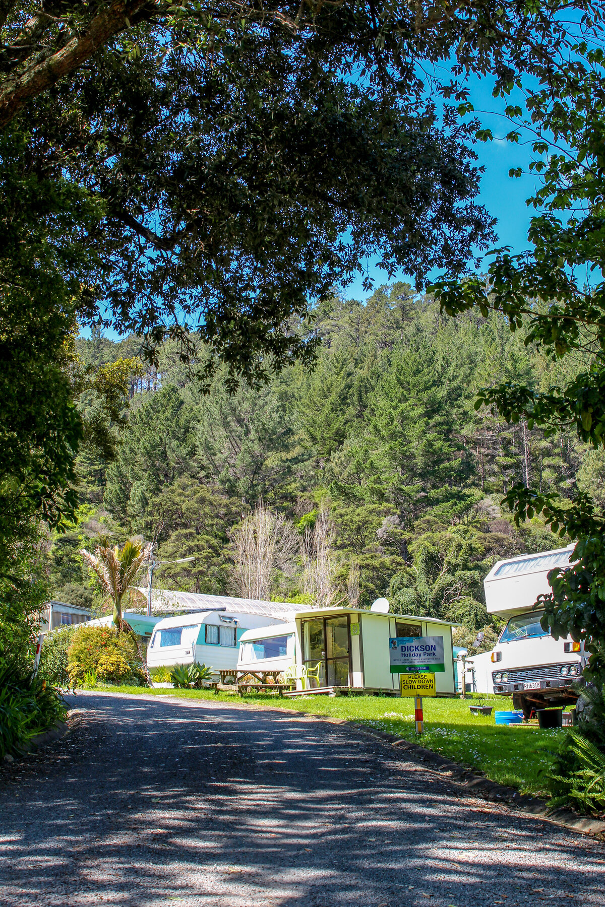 Dickson Holiday Park | Thames | Coromandel