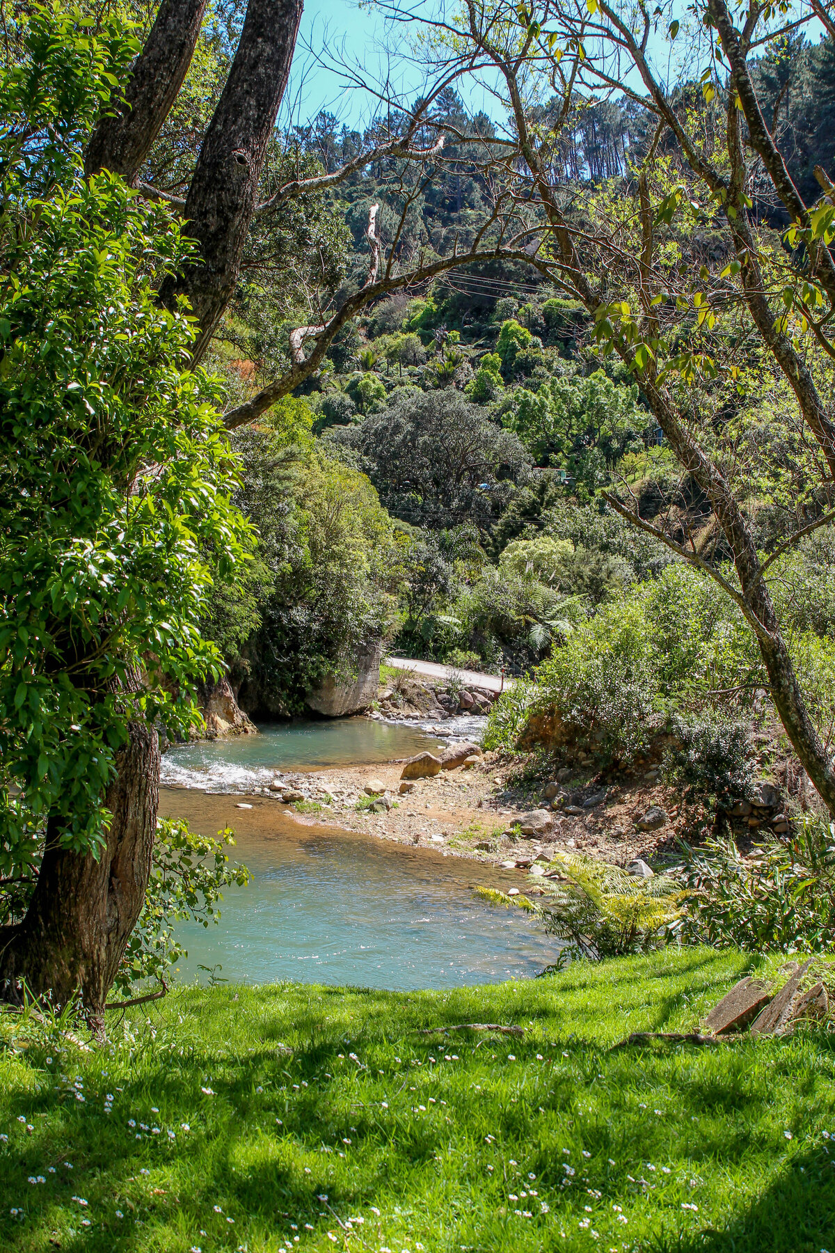 Dickson Holiday Park | Thames | Coromandel