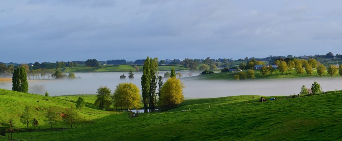 Things to do | Te Awamutu New Zealand