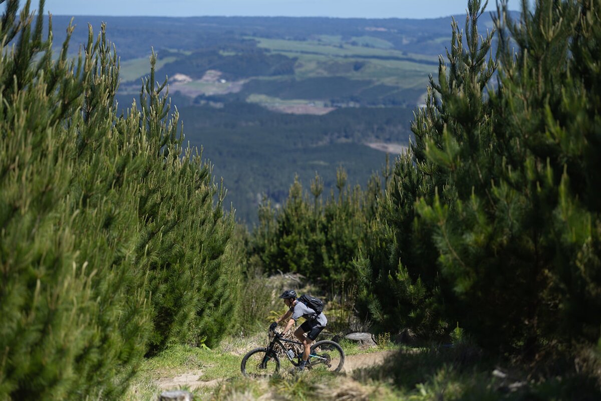 New names for MTB Marathon Championship at Rotorua’s Whaka 100 ...