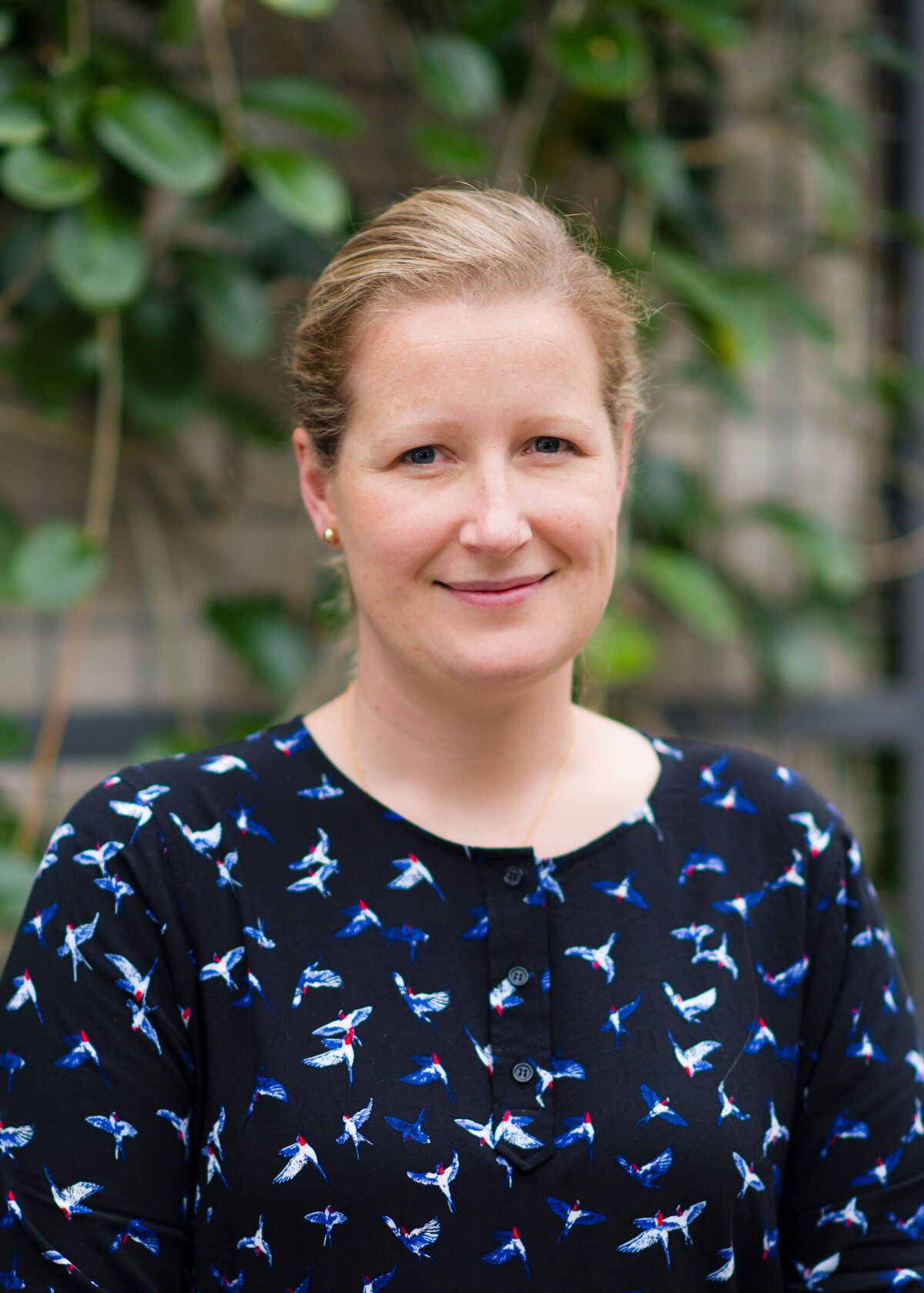 Summit Advisory | About