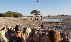 Gallery | The Safari Company