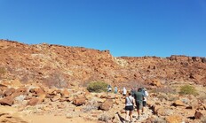 Gallery | The Safari Company