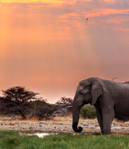 Comfortable African Safaris for age 40+ | The Safari Company