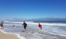 Gallery | The Safari Company