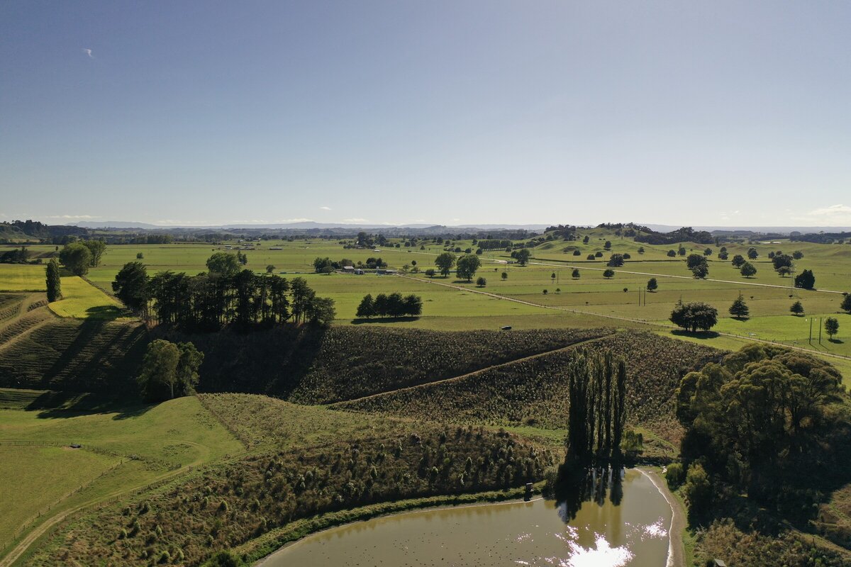 Projects | Native Planting | Landscaping | Cambridge | Riparian ...