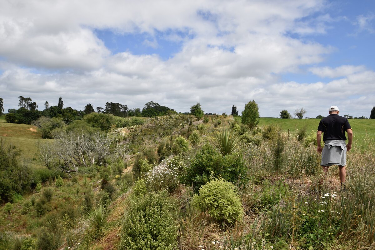 Projects | Native Planting | Landscaping | Cambridge | Riparian ...