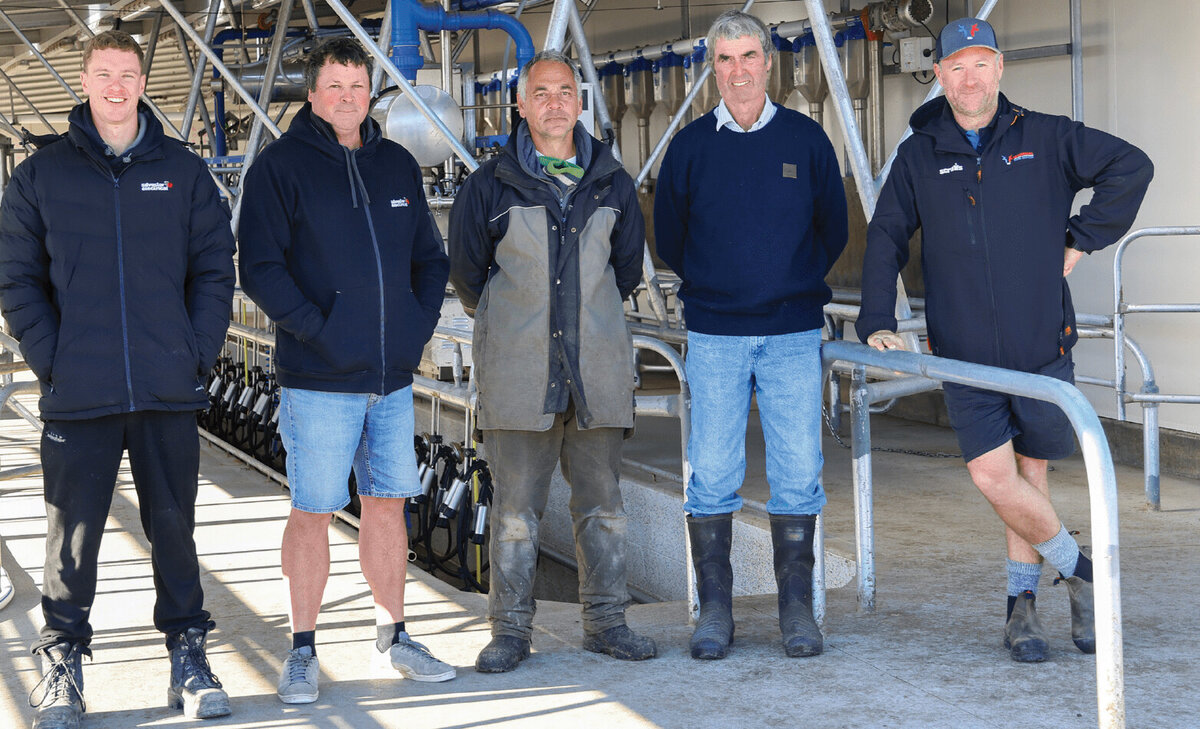 Lecky Farm - New result without the new price tag | Silvester ...