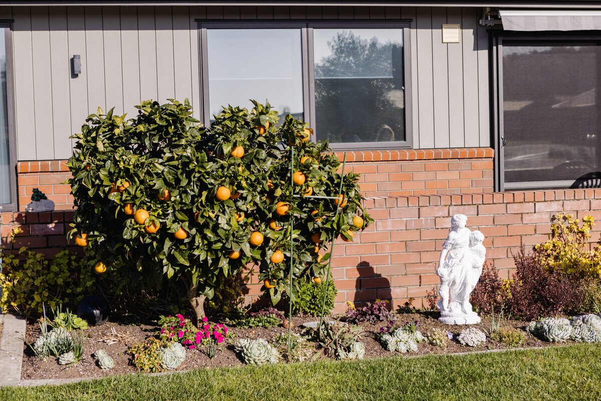 Eventide Retirement Village | Tamahere Eventide