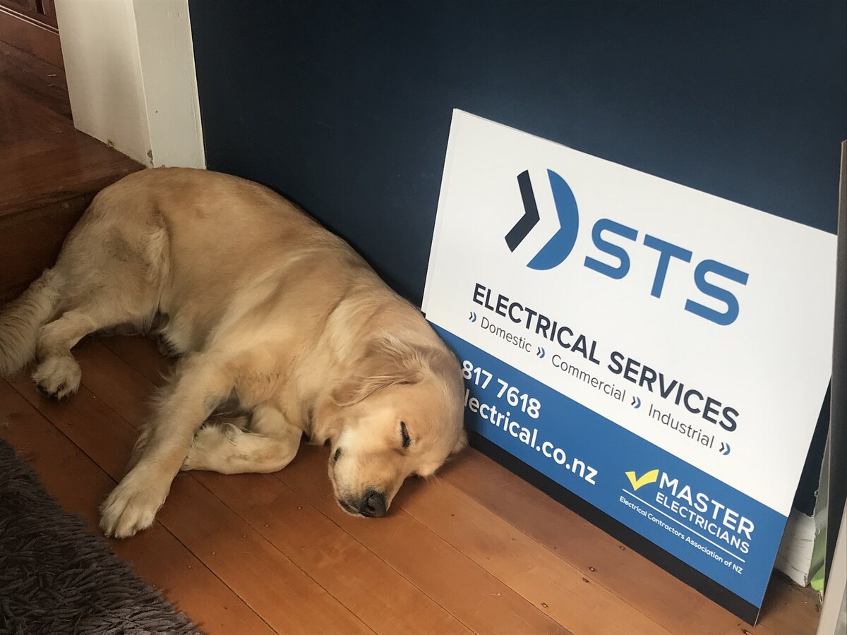 STS Electrical Services Ltd | Titirangi, West Auckland domestic ...