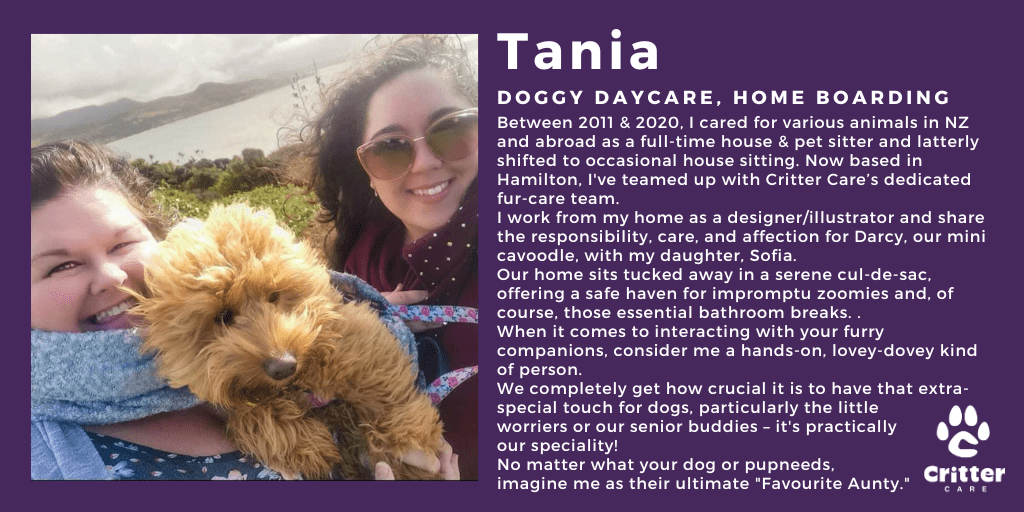 Meet the Team | Critter Care