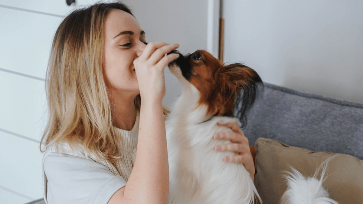 Services | Critter Care