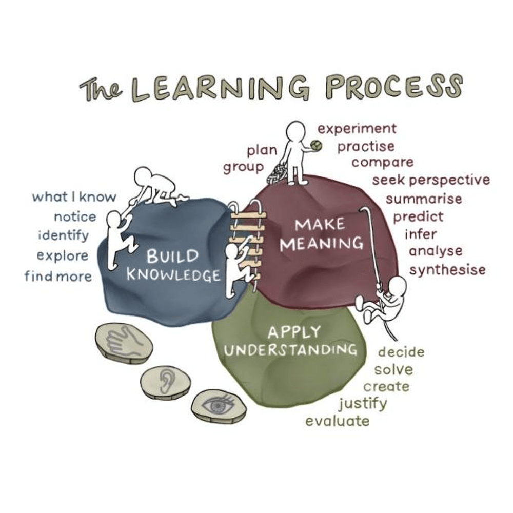 Learning at Stonefields School