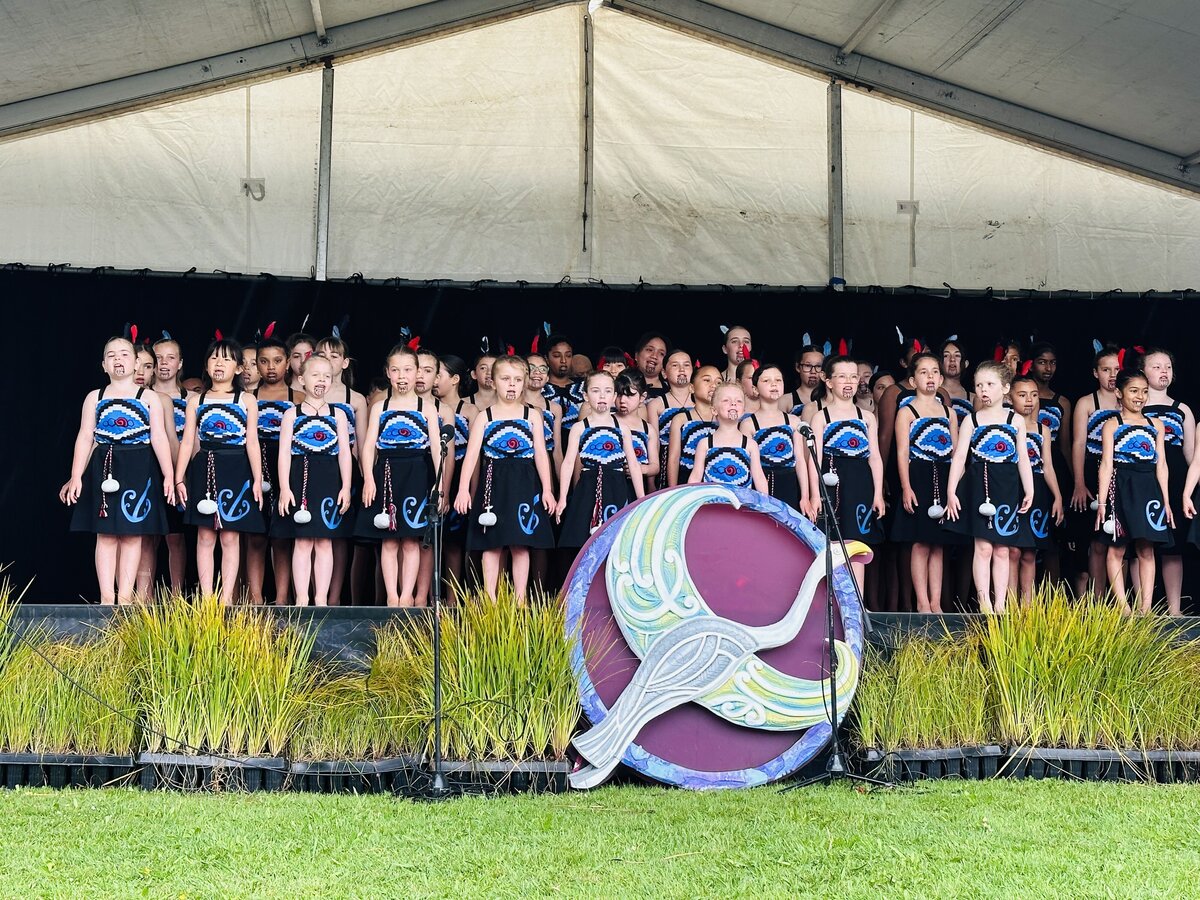 Clubs and Activities | Stonefields School