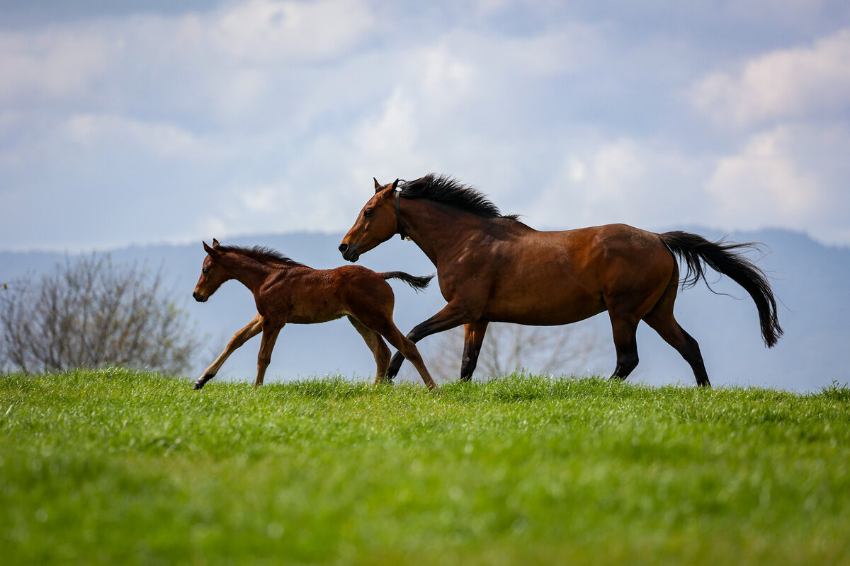 Contact | Taylor Perry