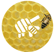 Industry | Coolsense | Coolsense (NZ) Ltd