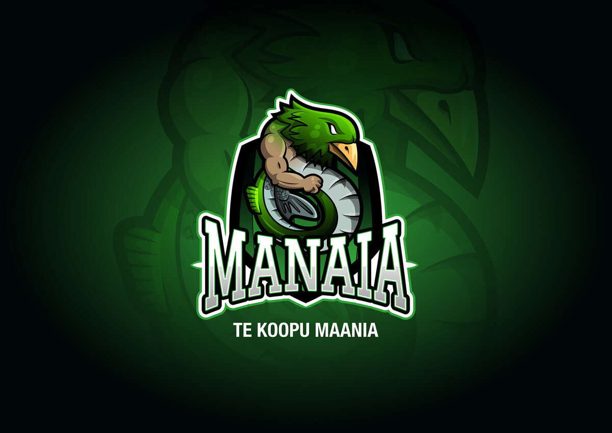 House System | Cambridge High School