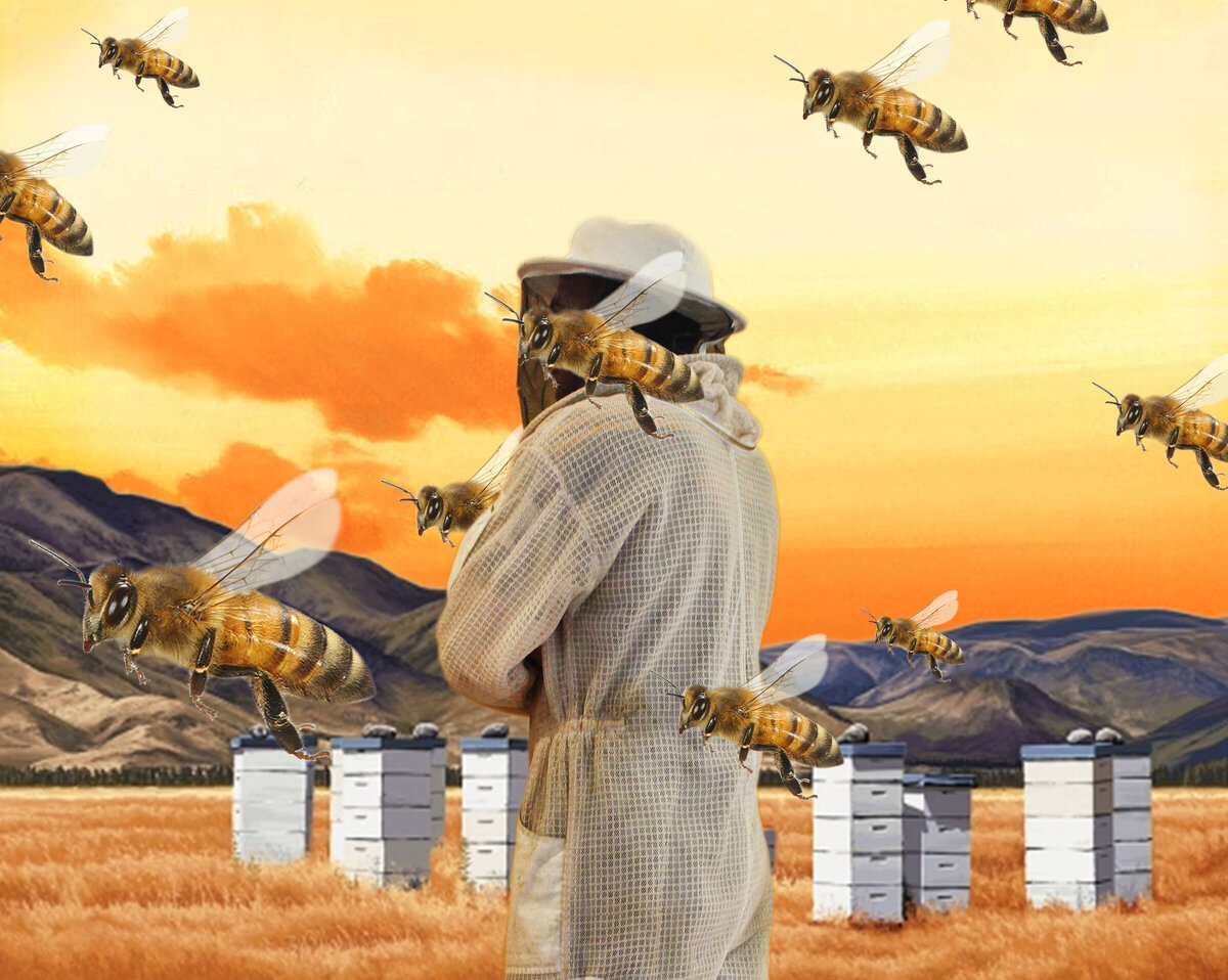 Visual Arts | Cambridge High School