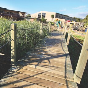 One Big Adventure | Auckland Adventure Camps