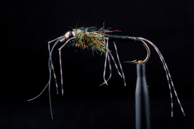 Stoneflies | Chris Dore