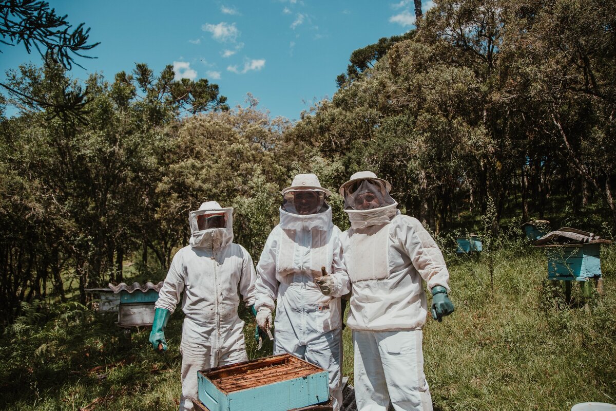 Home | Wellington Beekeepers Association