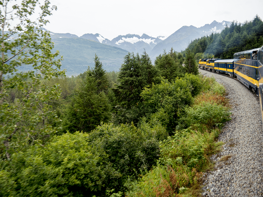 Riding the Alaska Railroad | Burgess Travel Co.
