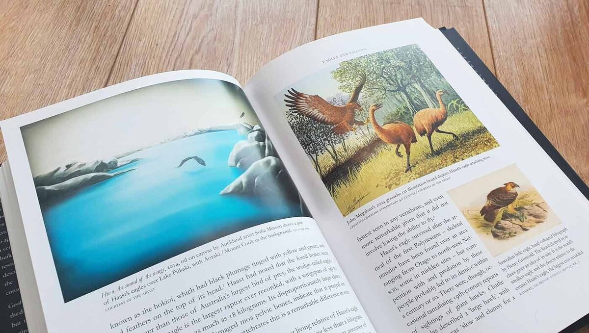 "Birdstories" - a book by Geoff Norman features Sofia Minson's painting ...