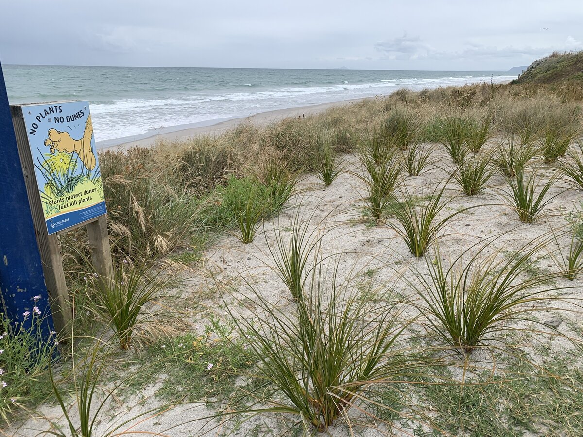 Our Projects | Pukehina Rate Payers Association