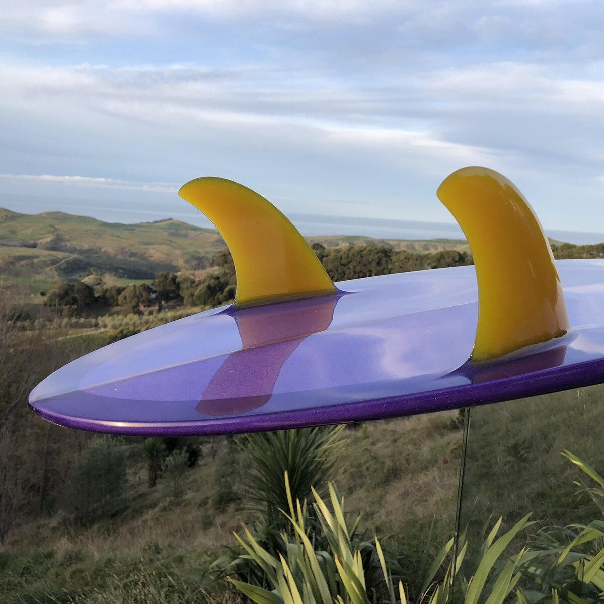 Lightwave Custom Fins