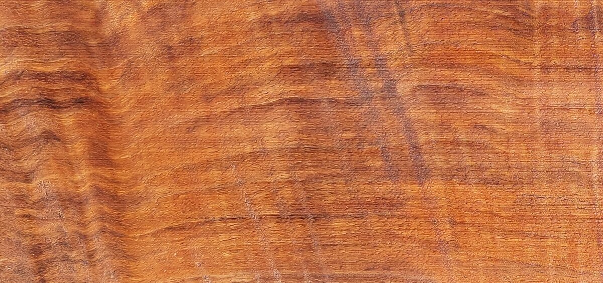 European and North American Timber Selections | Rarefind Timbers NZ Ltd