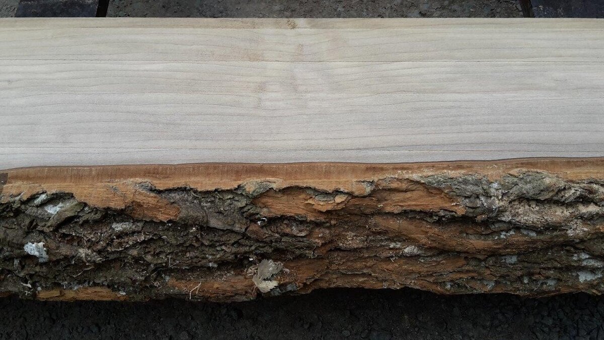 Slabs, Tops, Rough Sawn and Machined Timber | Rarefind Timbers NZ Ltd