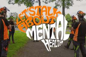 Hamilton Arborist Tree Services | Marc Doyle Treework