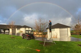 Hamilton Arborist Tree Services | Marc Doyle Treework