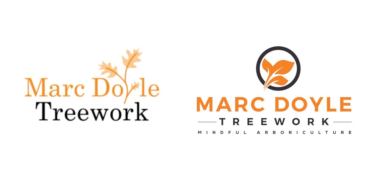 Celebrating 12 Years In Business | Marc Doyle Treework