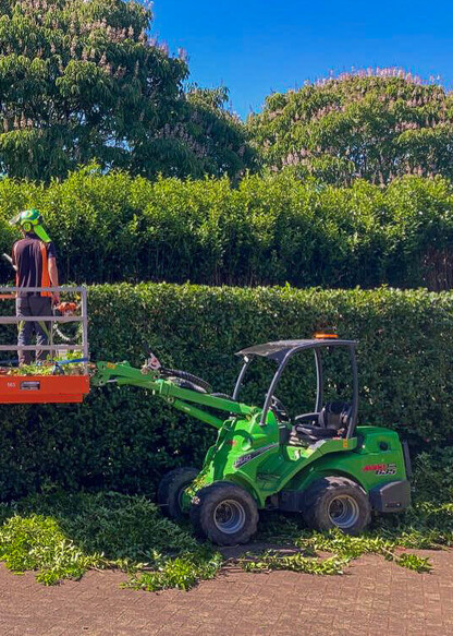 Hamilton Arborist Tree Services | Marc Doyle Treework