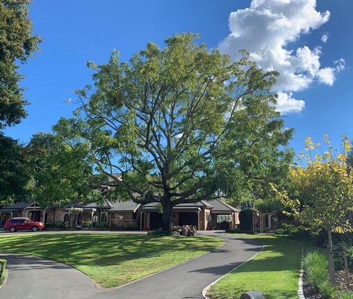 Hamilton Arborist Tree Services | Marc Doyle Treework