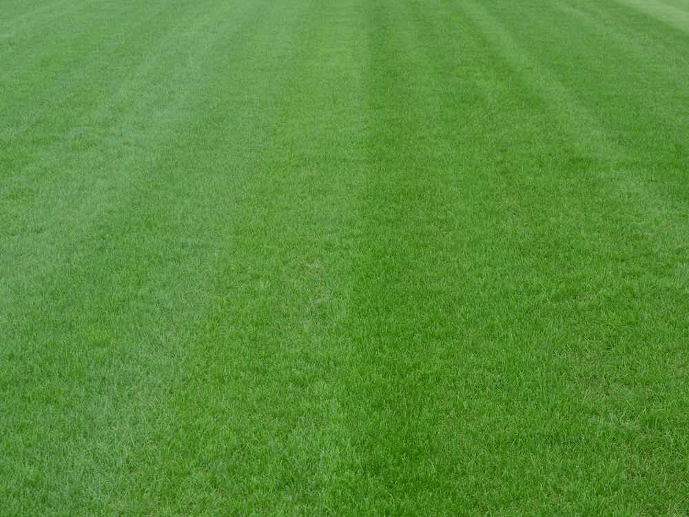 Soft Landscaping | Visionscapes