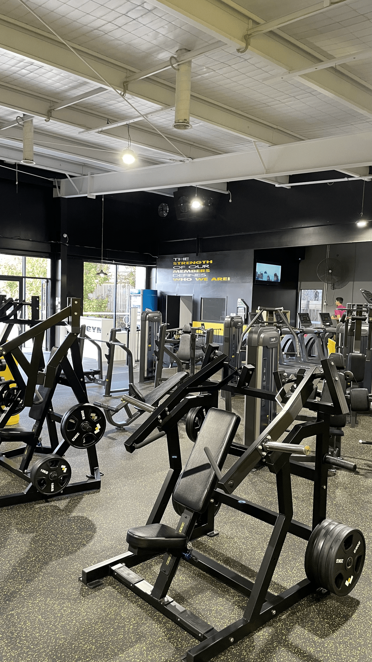 Profiles Gym | Profiles 4.0 - Te Ngae