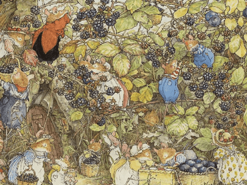 Buy Jigsaw Puzzles Online | NZ Puzzlesnz