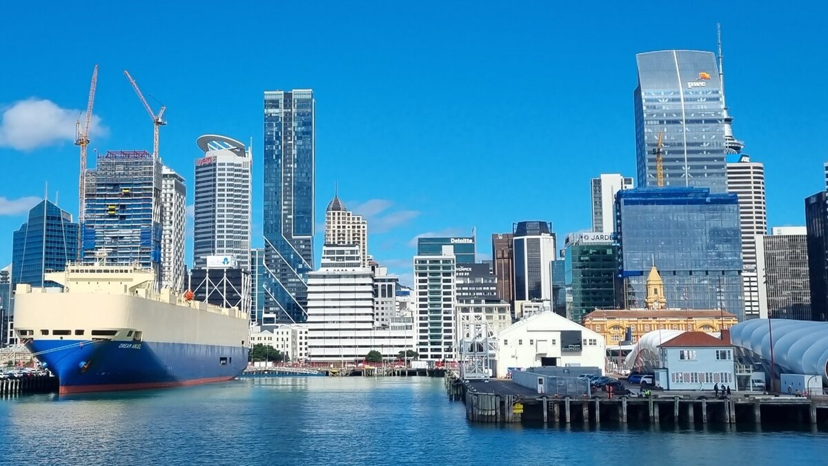 Pre- and Post-Construction | Pinnacle Building Consultancy