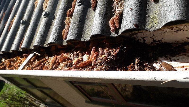 Gallery | Before and After - | Neil's Window Cleaning