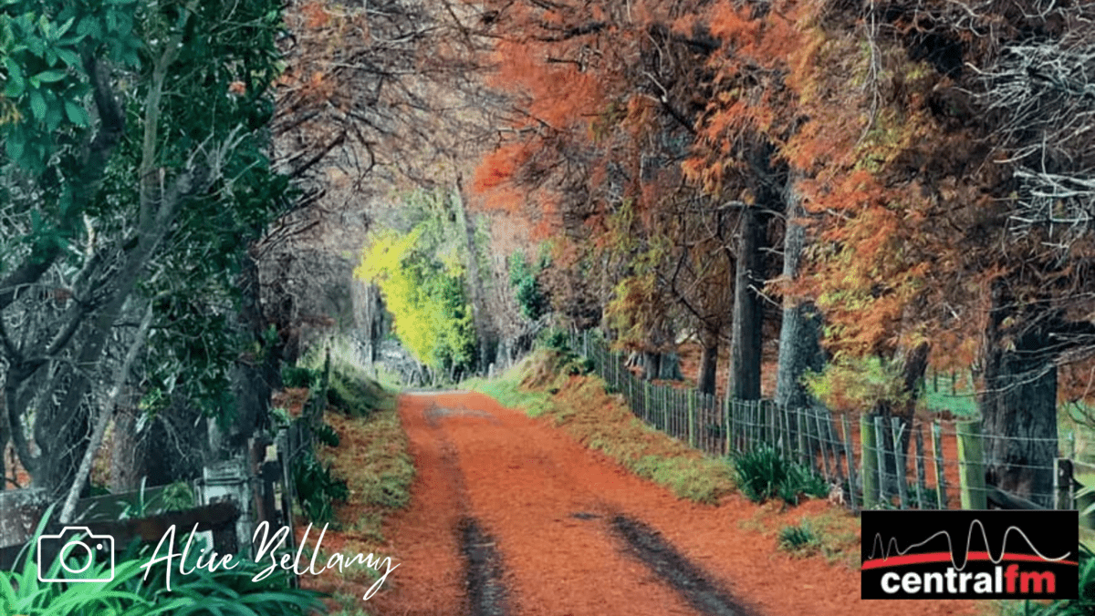 Local News | Central FM