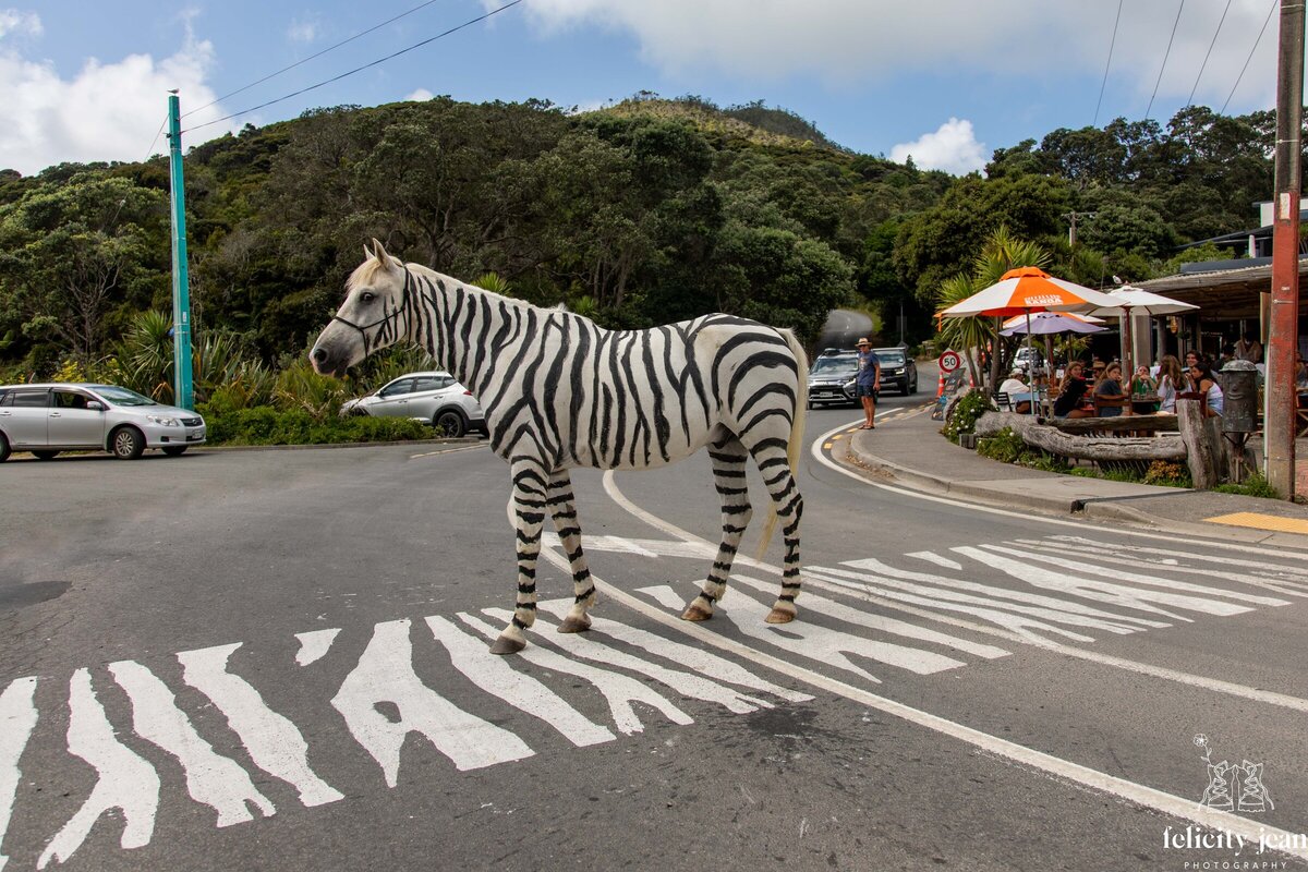 Community Newsletter