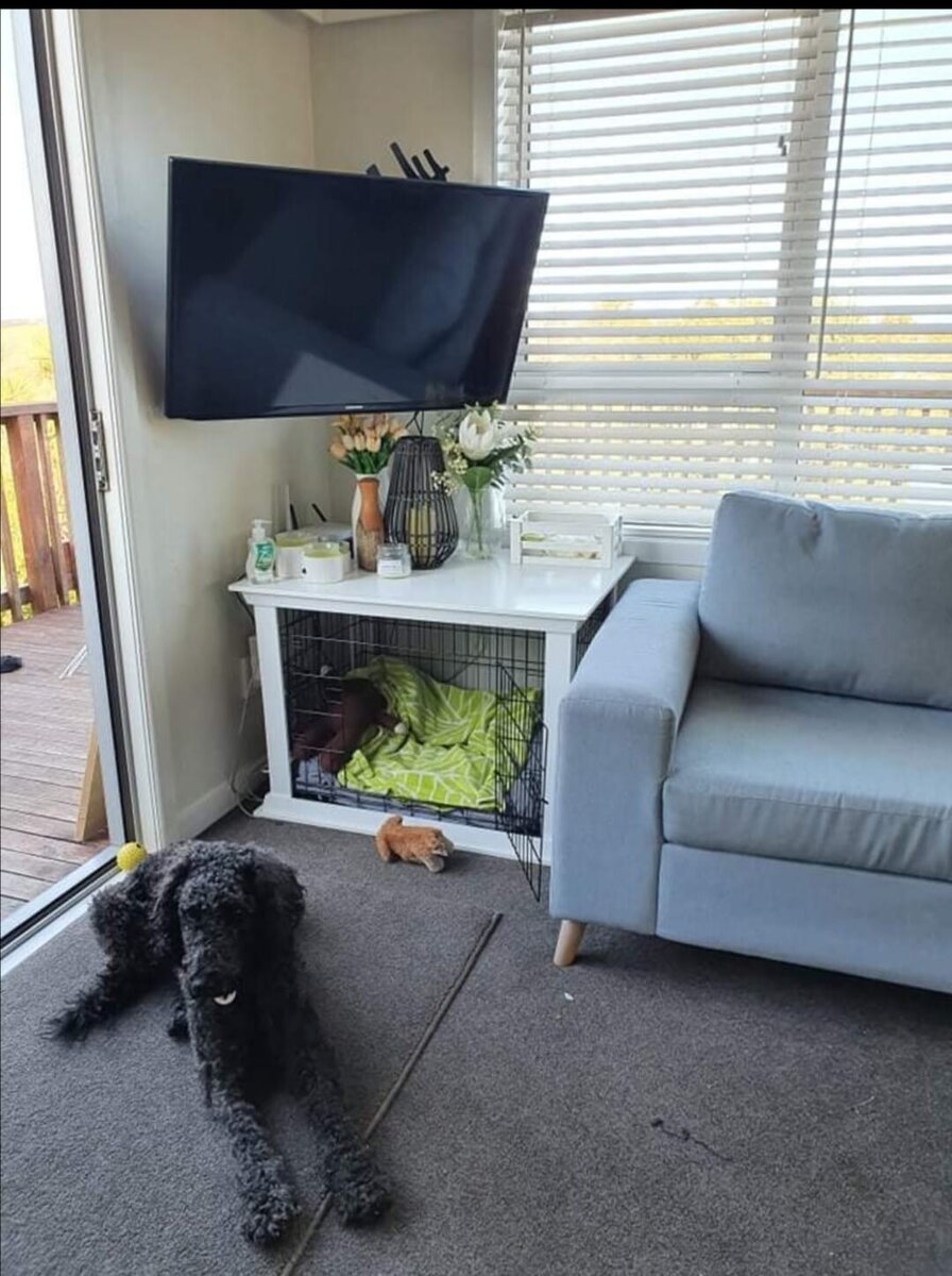 Step-by-Step Guide: Setting Up a Safe and Comfortable Dog or Puppy ...