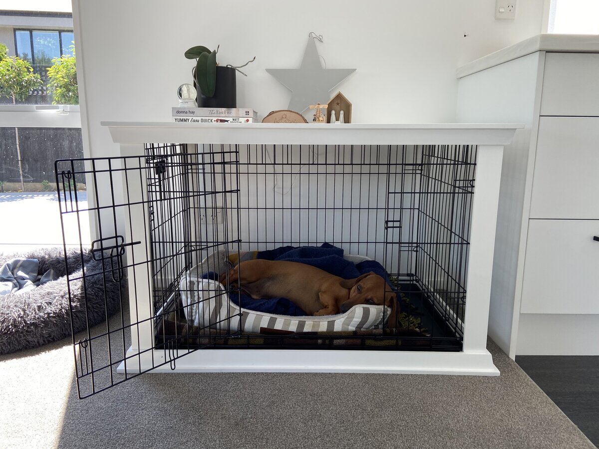 How to crate train your puppy in 8 simple steps | Beloved Pet Furniture