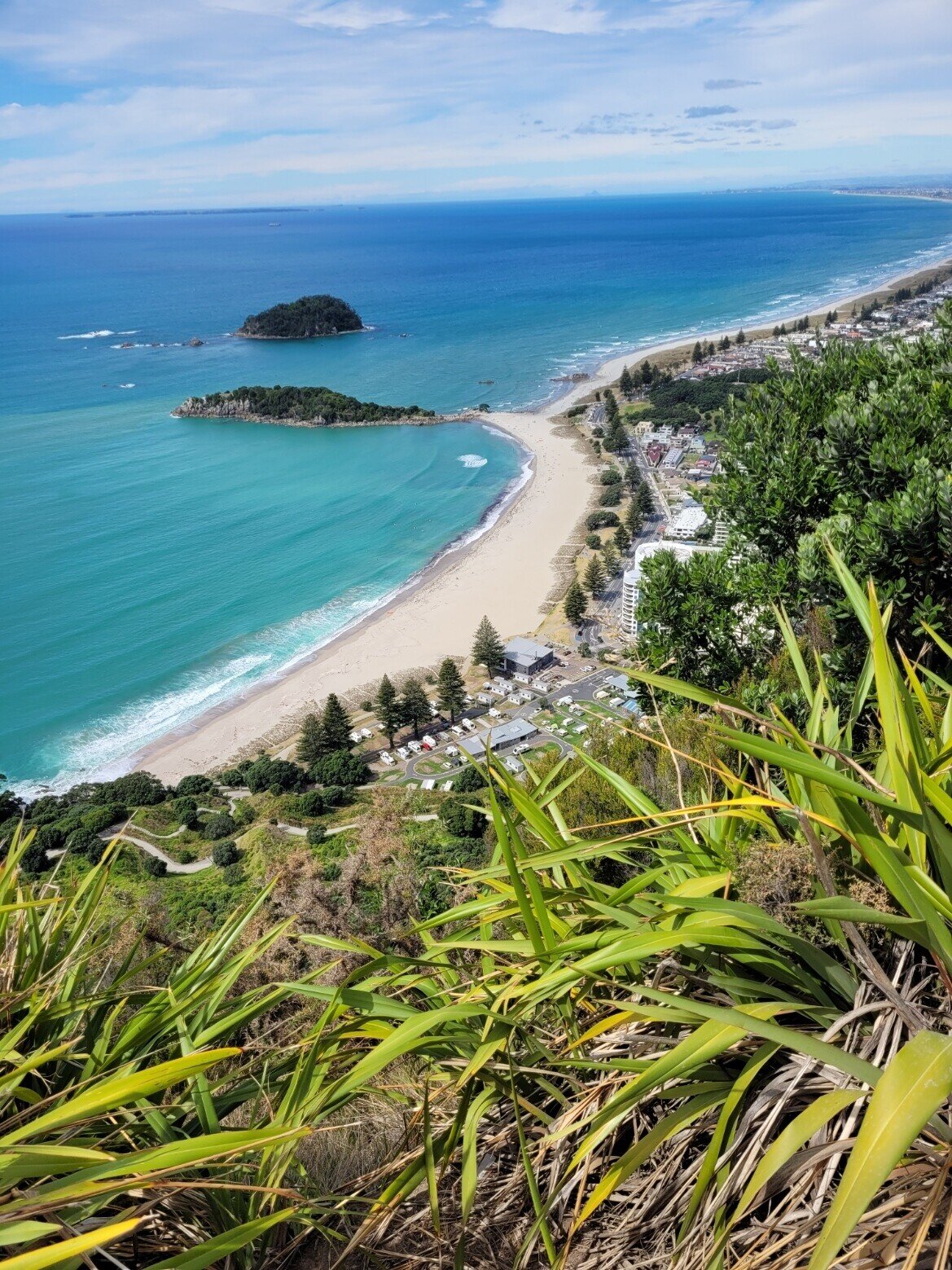 About Bailey Creations | Bailey Creations