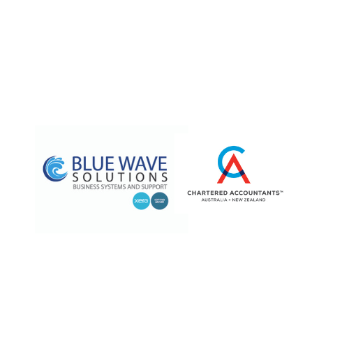 4 Reasons to Use a Chartered Accountant for Your Business | Blue Wave ...