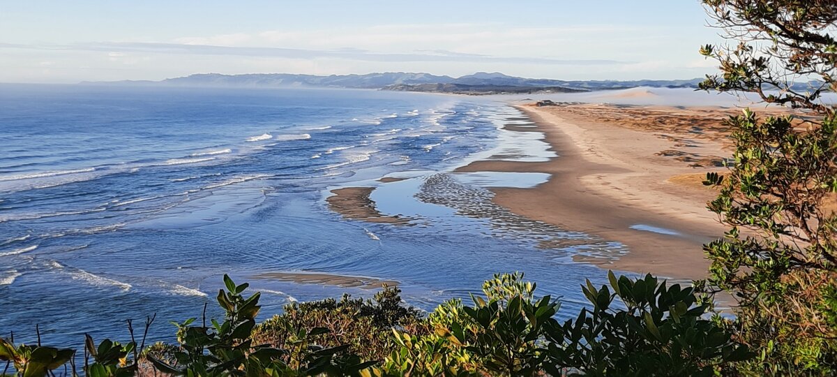 Contact | Blue Wave Solutions