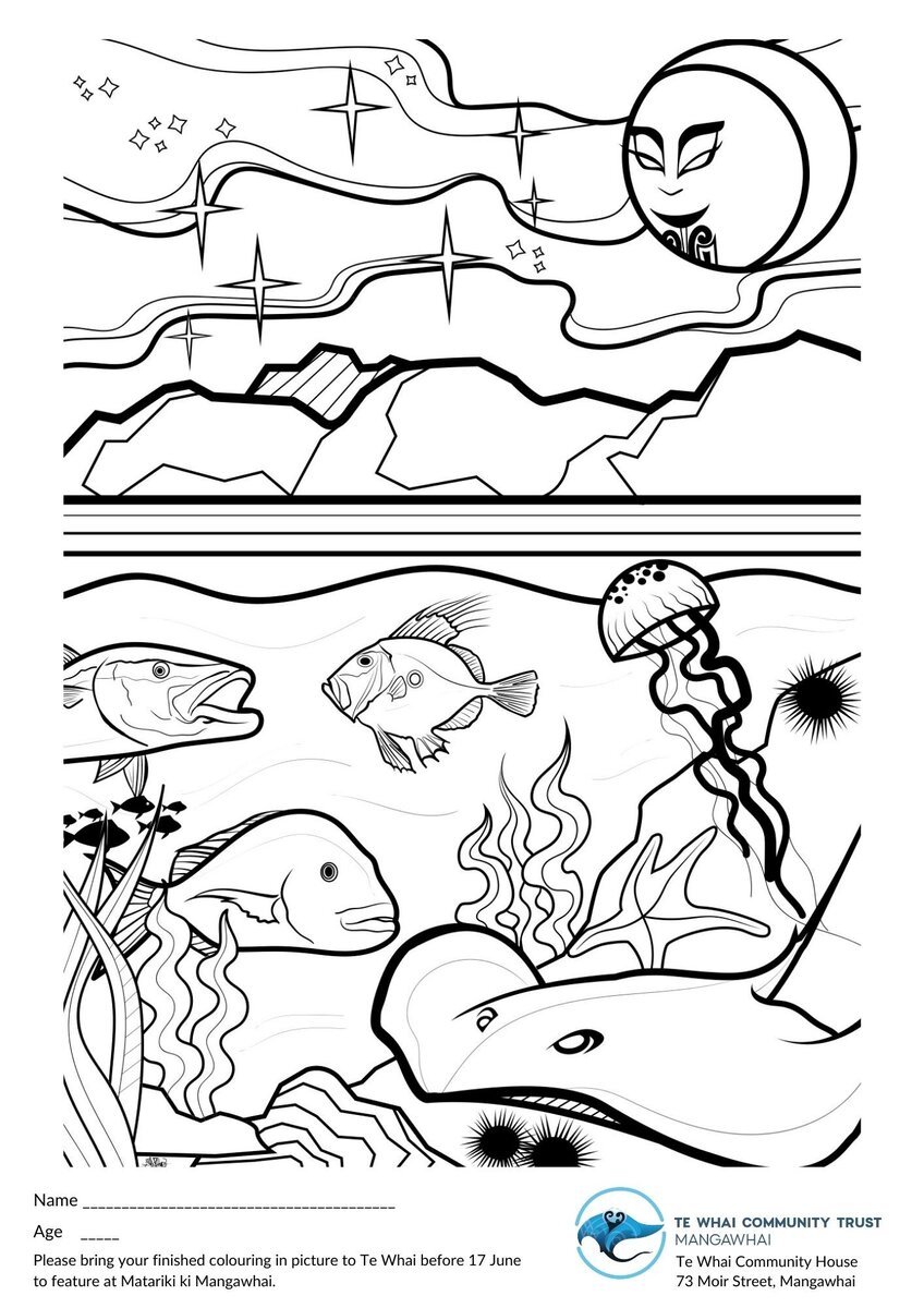 Matariki Colouring Activity | Te Whai Community Trust Mangawhai