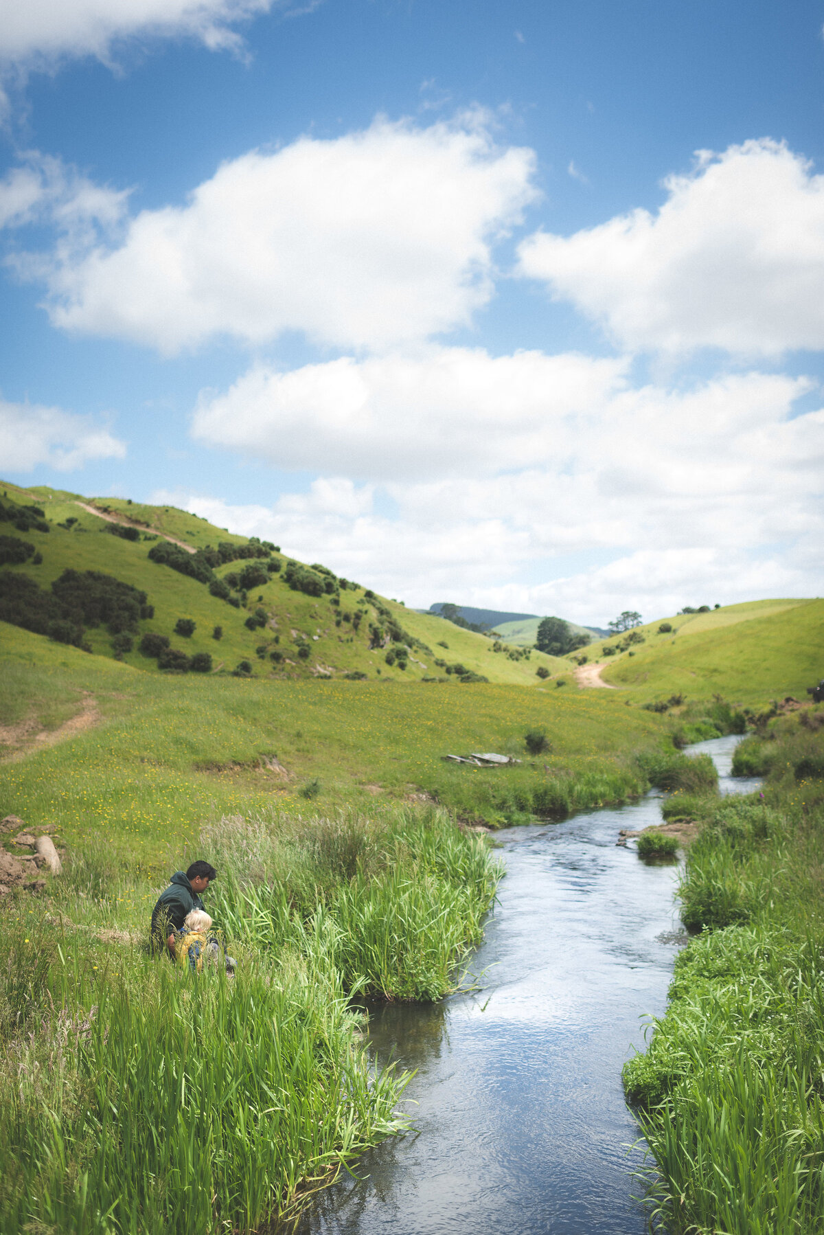 Gallery of Stone Hill | Stone Hill Horse Trek